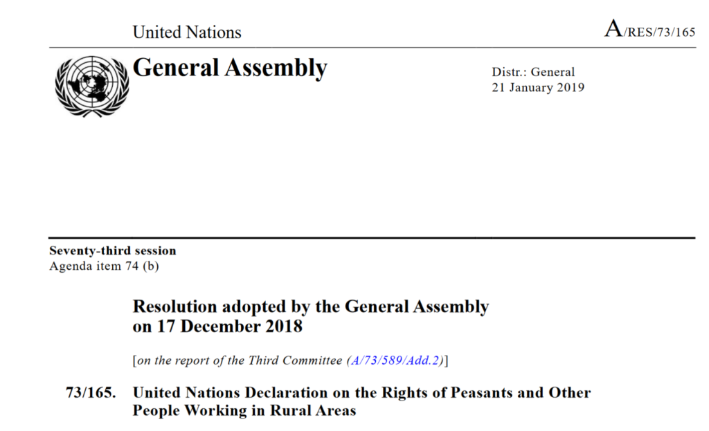 The UN Declaration on the Rights of Peasants and other People Working ...