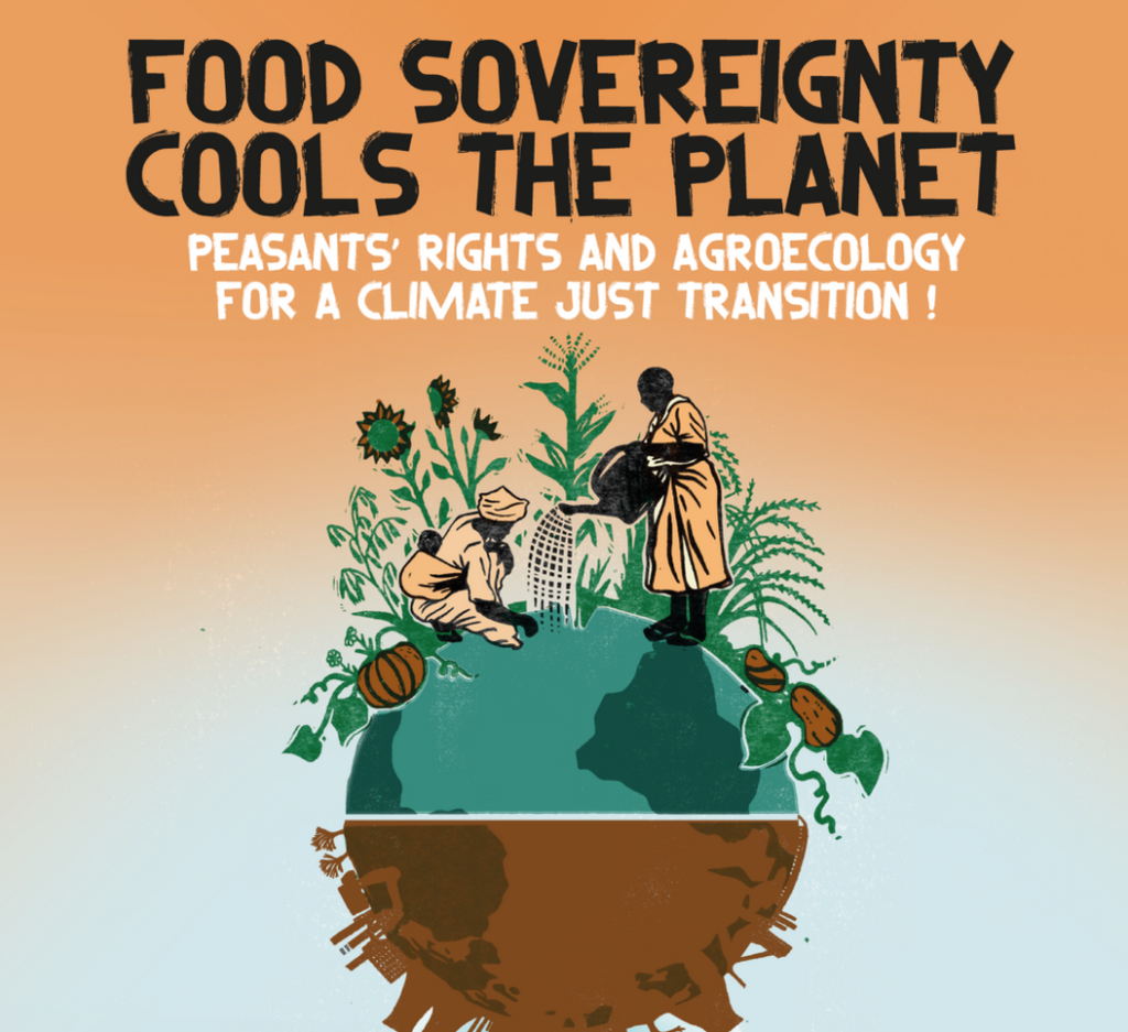 What is Food Sovereignty ? a video explainer - Defending Peasants' Rights