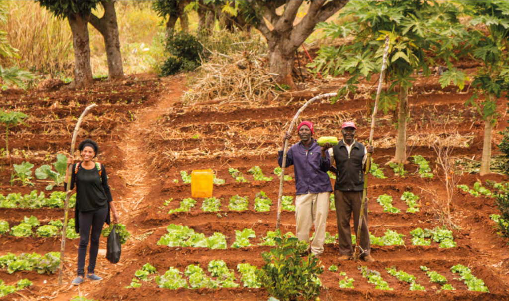 The United Nations Working Group on the Declaration on the Rights of ...