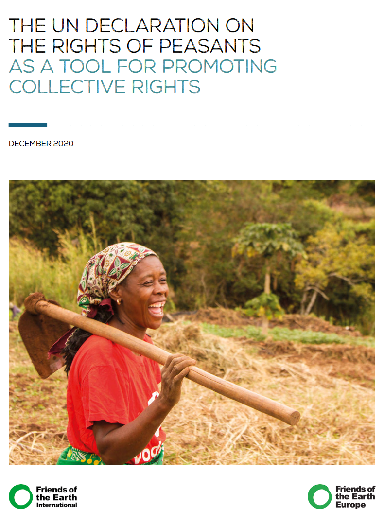 The UN Declaration on the rights of peasants as a tool for promoting ...