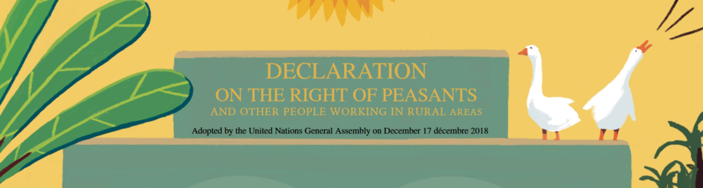 Land Is a Human Right - Defending Peasants' Rights