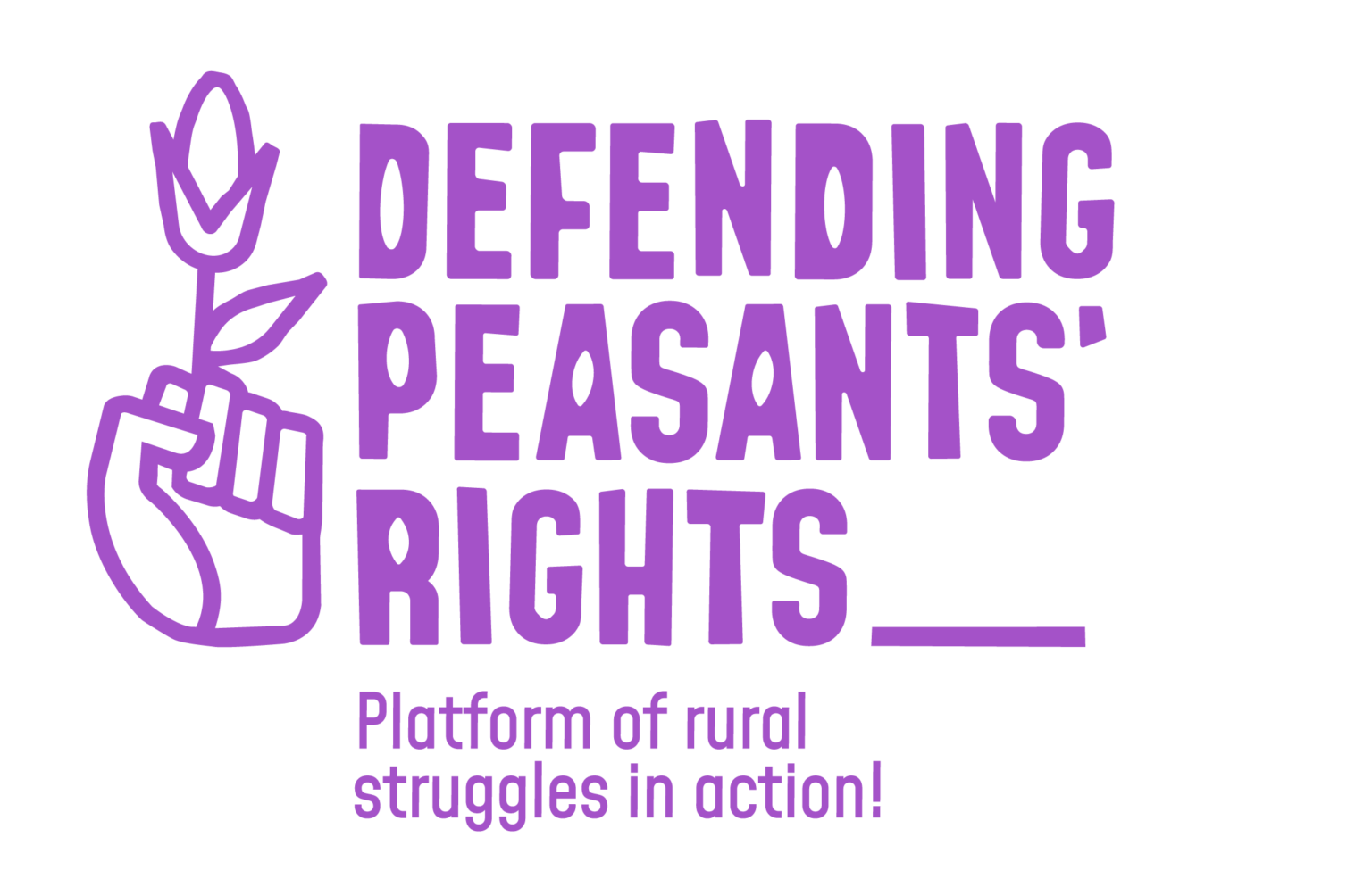 The United Nations Working Group on the Declaration on the Rights of ...